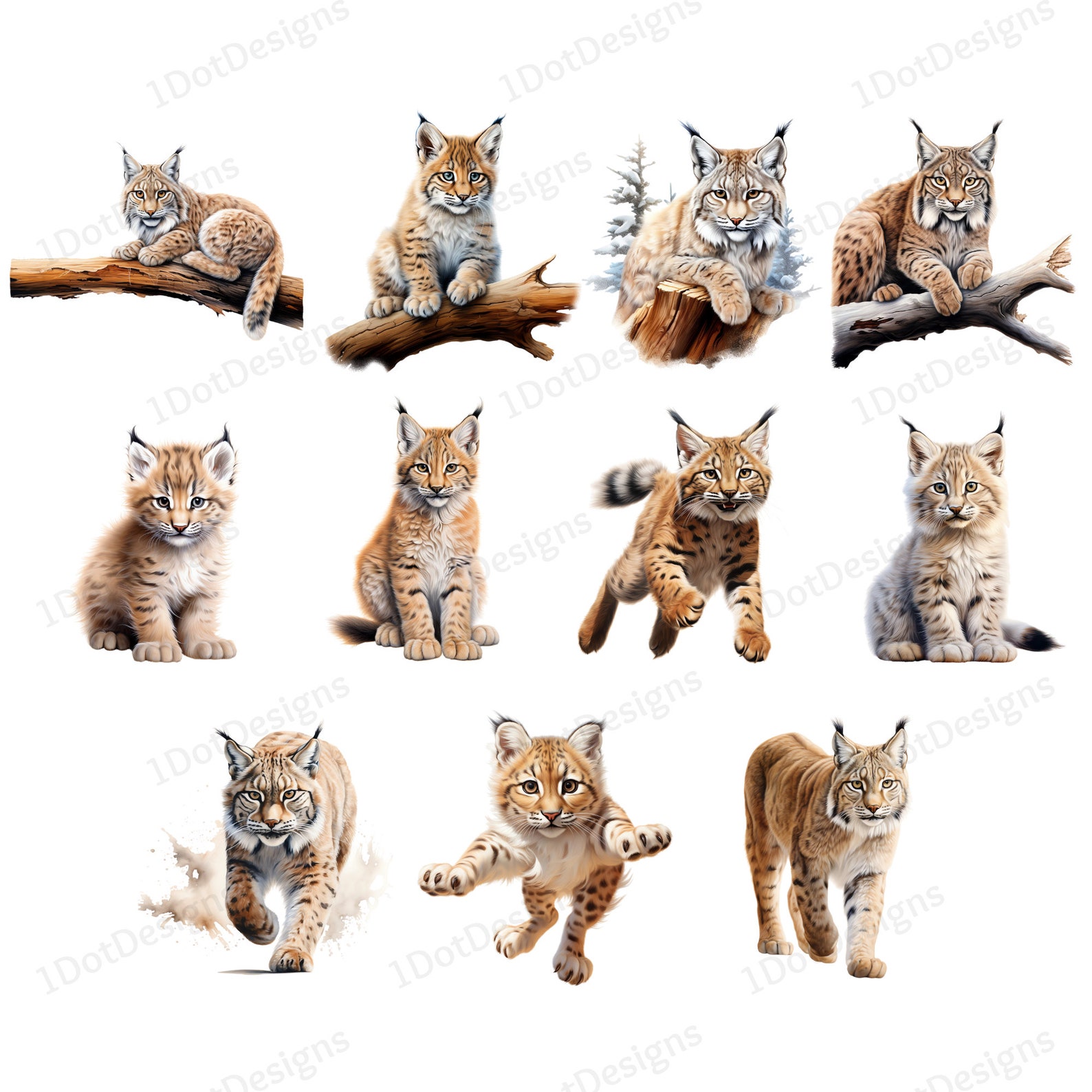 Lynx Clipart Bundle, Lynx PNG, Wild Cat Clipart, Arctic Clipart ...