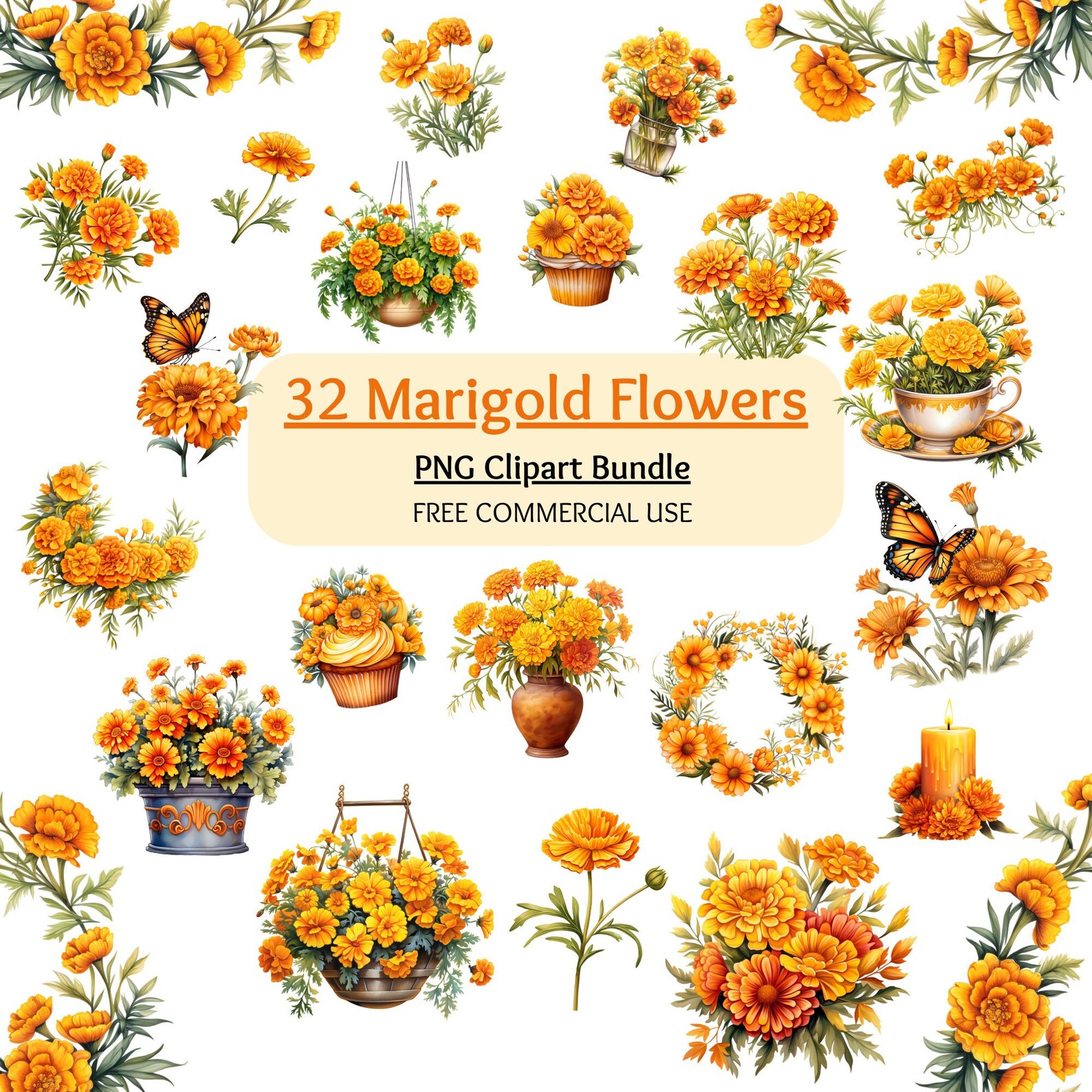 Watercolor Marigold Flower Clipart Bundle, Wedding Graphics (digital ...