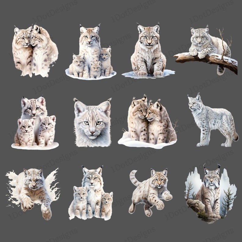 Lynx Clipart Bundle, Lynx PNG, Wild Cat Clipart, Arctic Clipart ...