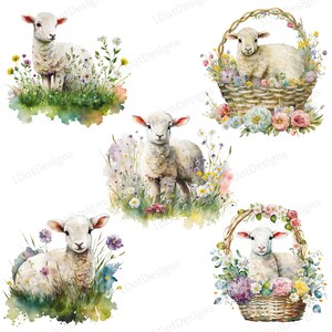 Spring Lamb Clipart Bundle, Sheep PNG, Watercolor Clipart, Floral Lamb ...