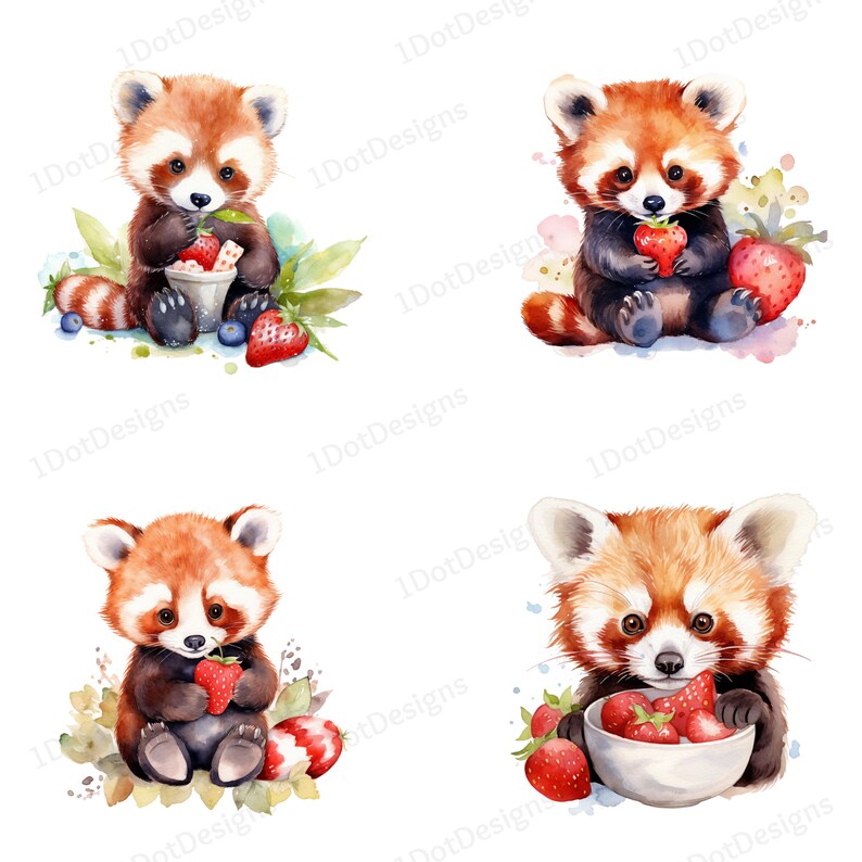 Cute Baby Red Panda Clipart Bundle Panda PNG Watercolor - Etsy