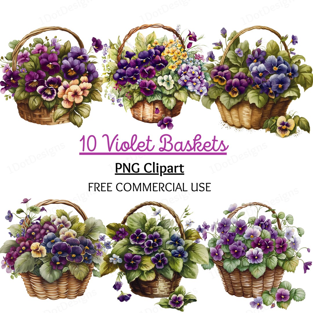 Violet Basket Clipart Bundle, Violets PNG, Watercolor Clipart, Floral ...