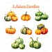 Colorful Pumpkins Clipart Bundle, Halloween PNG, Pumpkin Clipart ...