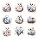 Snowy Owl Family Clipart Bundle Snow Owl PNG Nature Clipart - Etsy UK