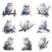 Snowy Owl Clipart Bundle, Snowy Owl PNG, Nature Clipart, Arctic Bird ...