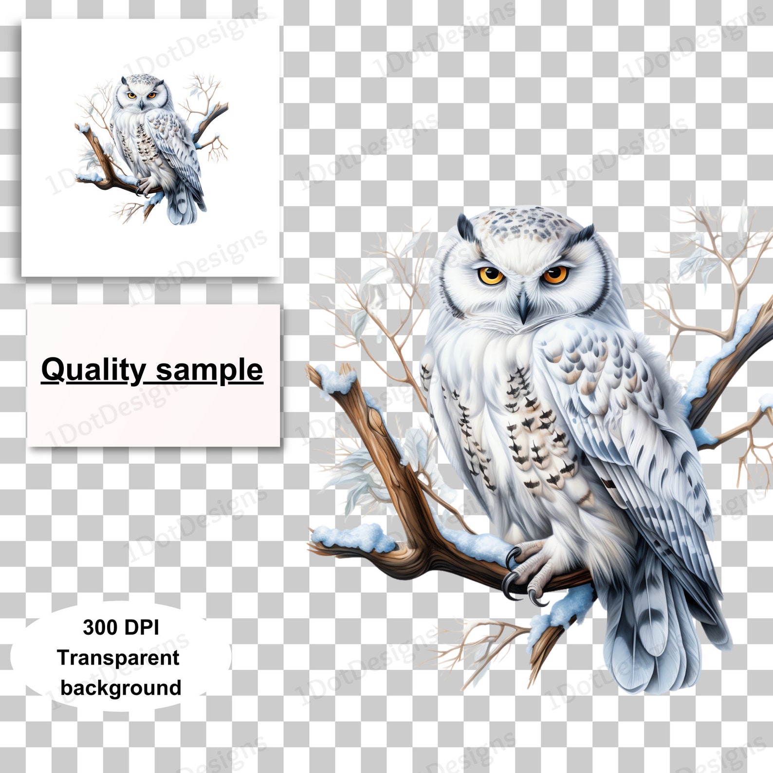 Snowy Owl Clipart Bundle, Snowy Owl PNG, Nature Clipart, Arctic Bird ...