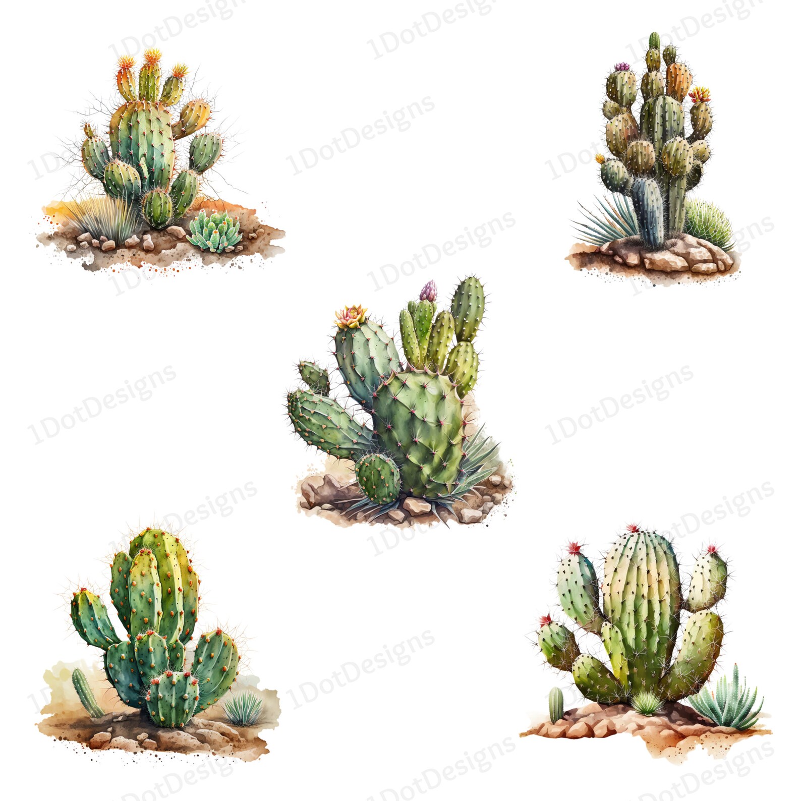 Watercolor Cactus Clipart Bundle, Cactus PNG, Watercolor Clipart, Wild ...