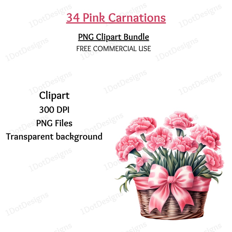 Pink Carnation Clipart Bundle, Carnation PNG, Carnation Flower Png ...