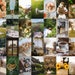 Cottagecore Collage Kit | Instant Digital Download | 125 Prints ...