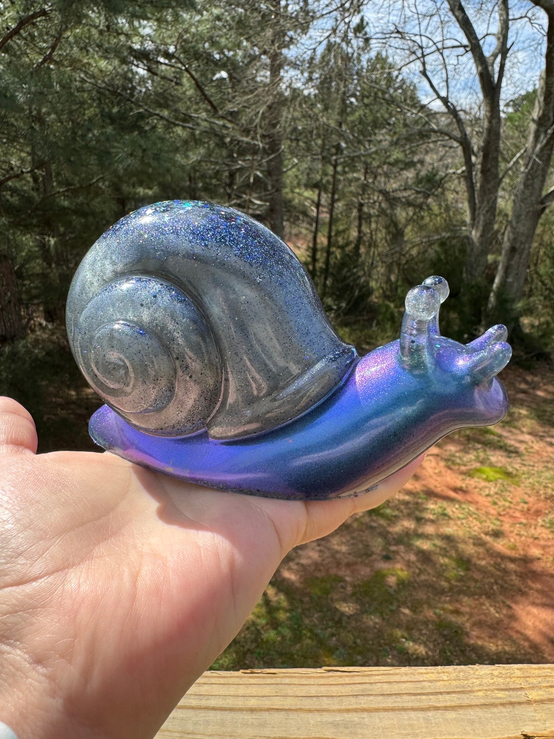 Giant Galaxy Snail - Etsy