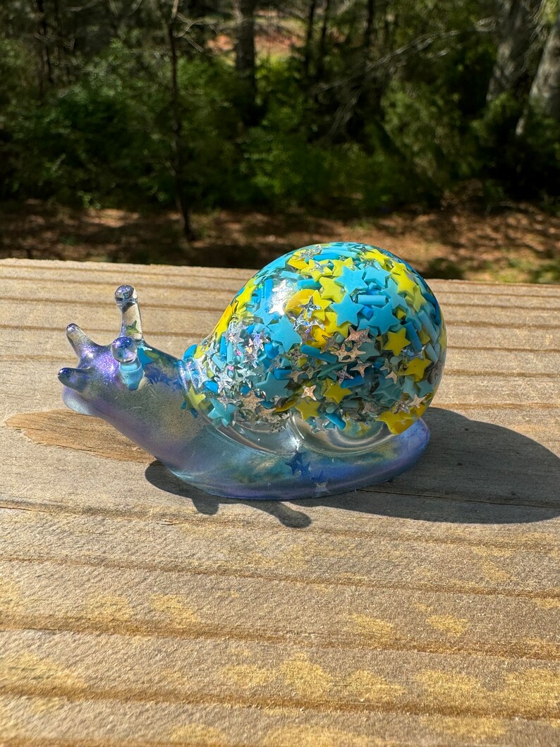 Snail - Star & Moon - Etsy