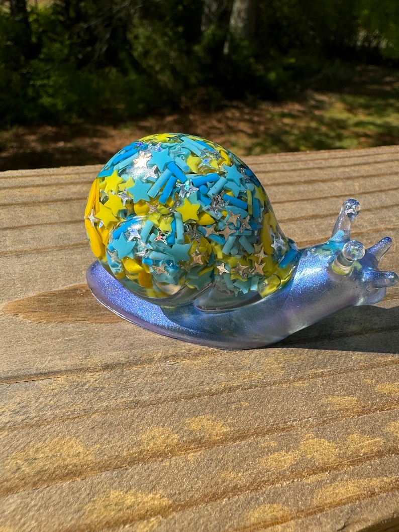 Snail - Star & Moon - Etsy