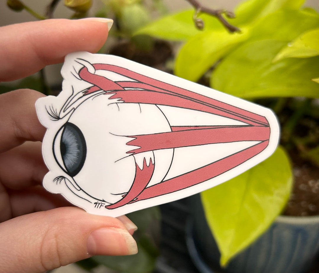 Eye Muscle Vinyl Sticker, Eyeball, Ophthalmology, Optometry, Anatomy ...