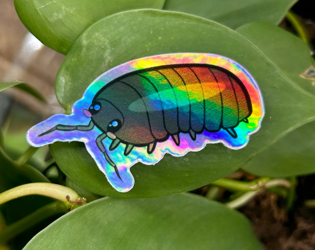 Pillbug, Roly Poly, Isopod, Bug Holographic Vinyl Sticker, Original Art ...