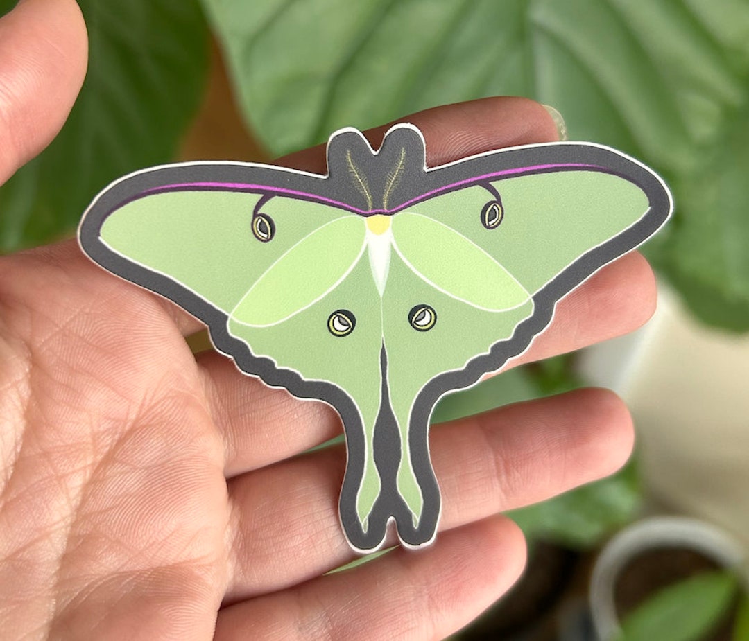 Luna Moth Matte Vinyl Sticker • for Laptop, Water Bottle, Journal, or ...