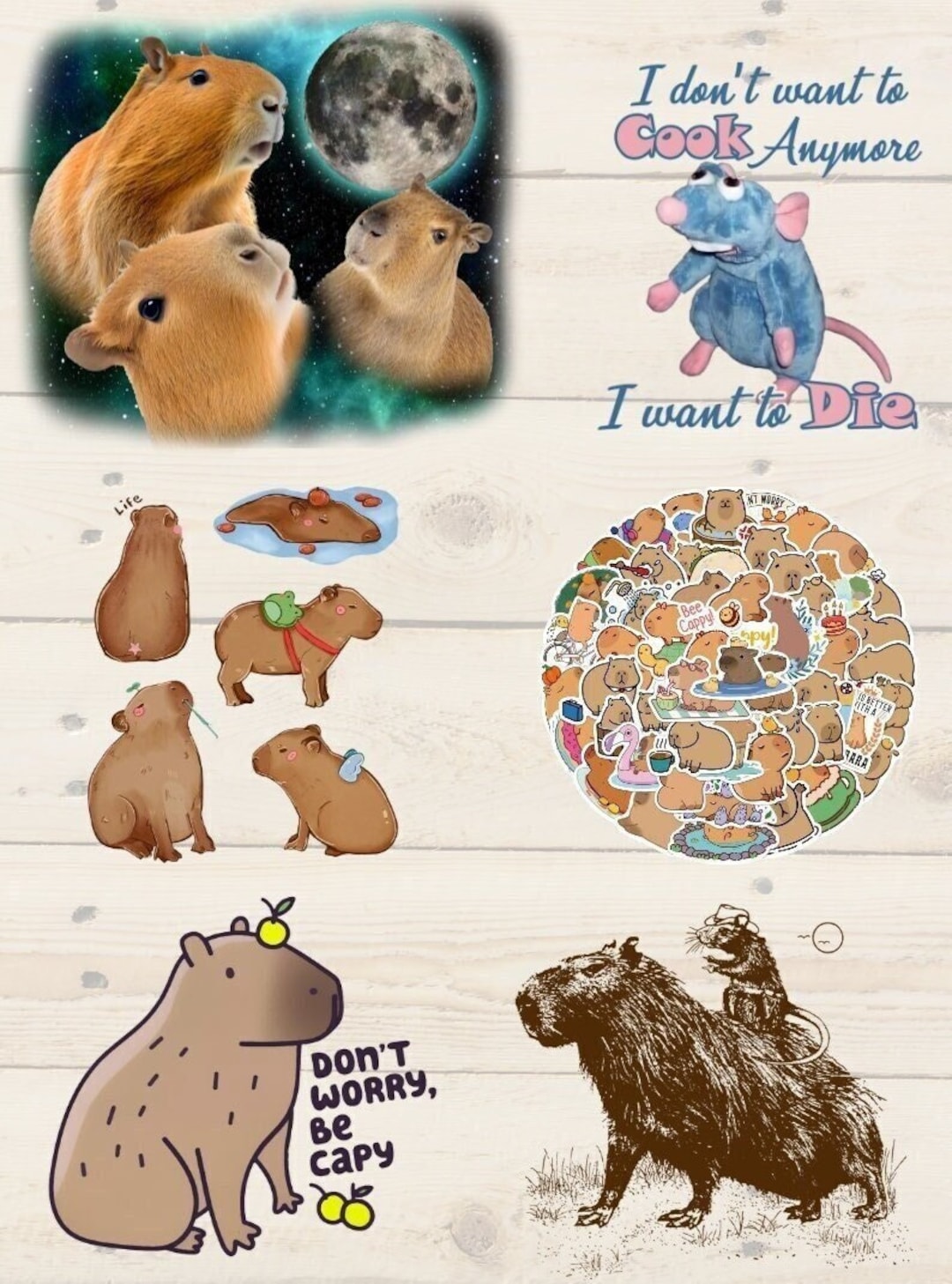 Pet Capybaras, 6 Capybara Art, Capybara Lover Gift Shirt PNG, Cute ...