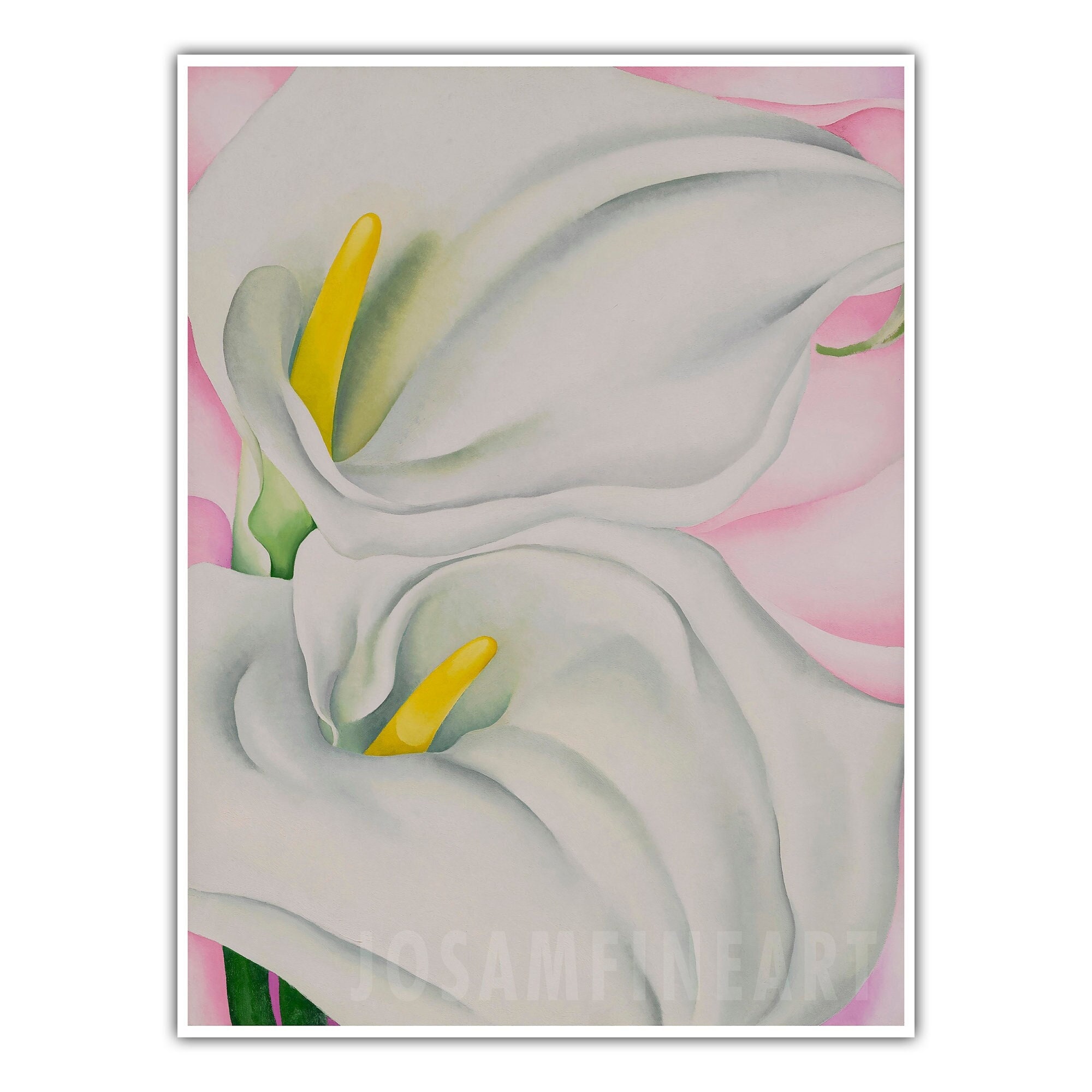GEORGIA O'KEEFFE, two Calla Lilies on Pink 1928, Giclee Fine Art Print ...