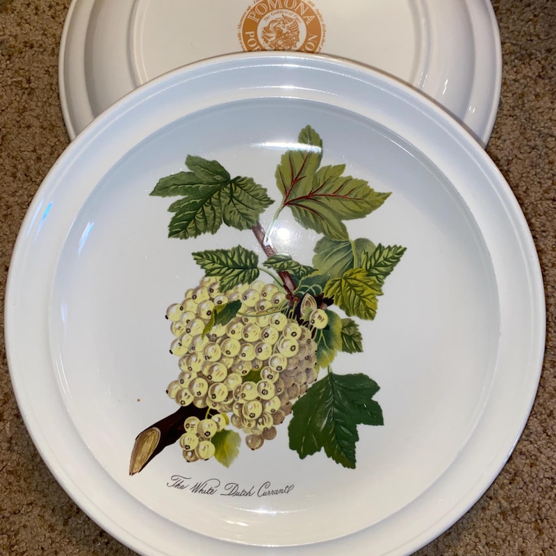 Pomona Portmeirion Fruit - Etsy