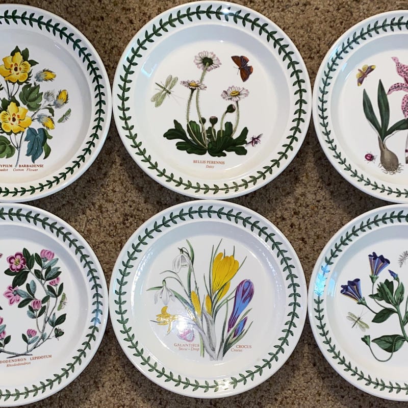 Botanical Plates - Etsy