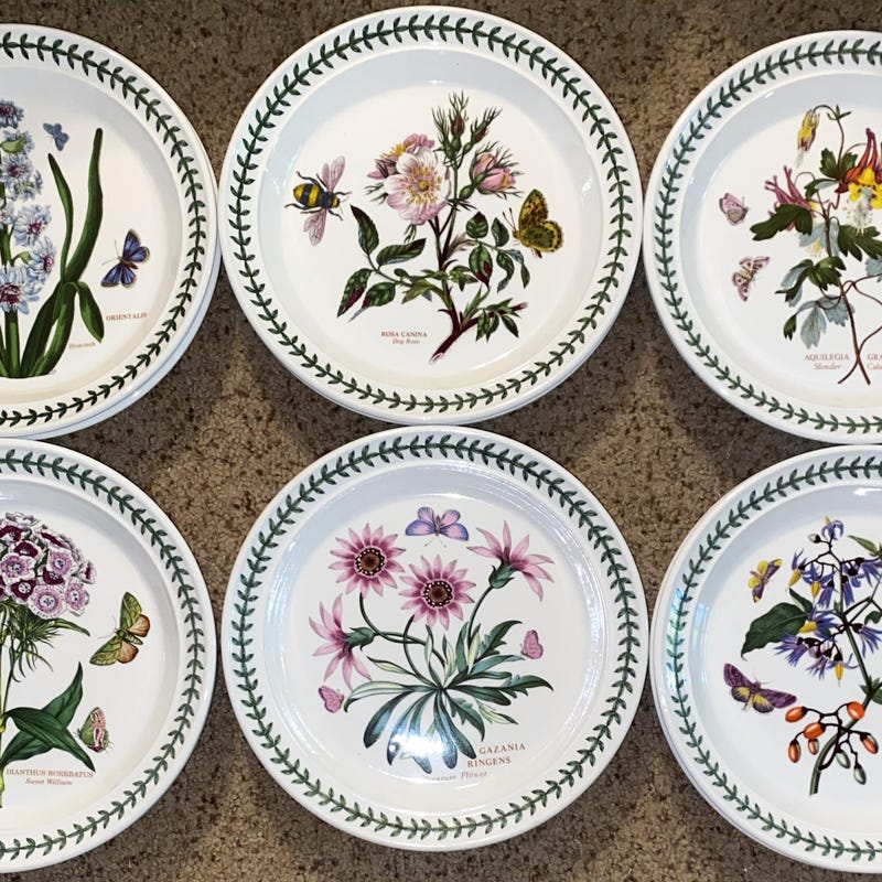 Botanical Plates - Etsy