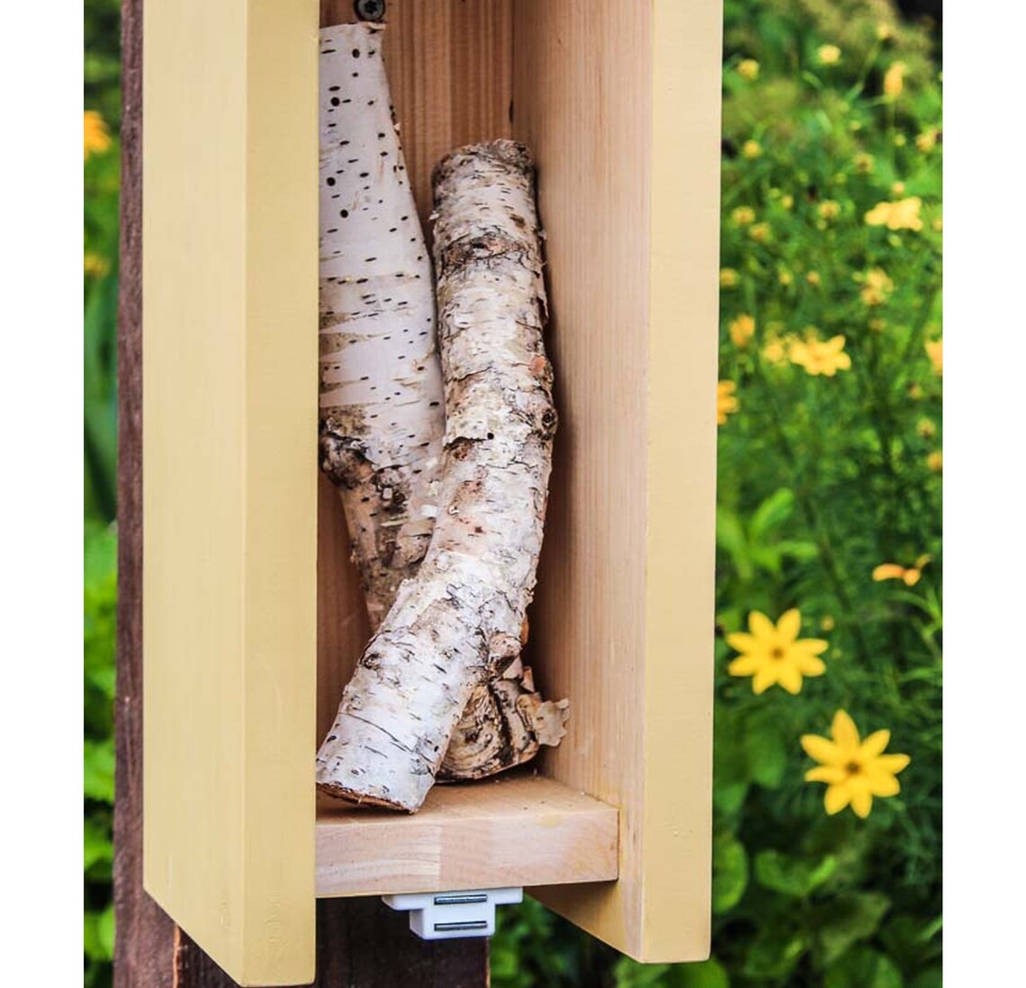 DIY Butterfly House Plans - Build Butterfly House Garden - DIY Wood ...