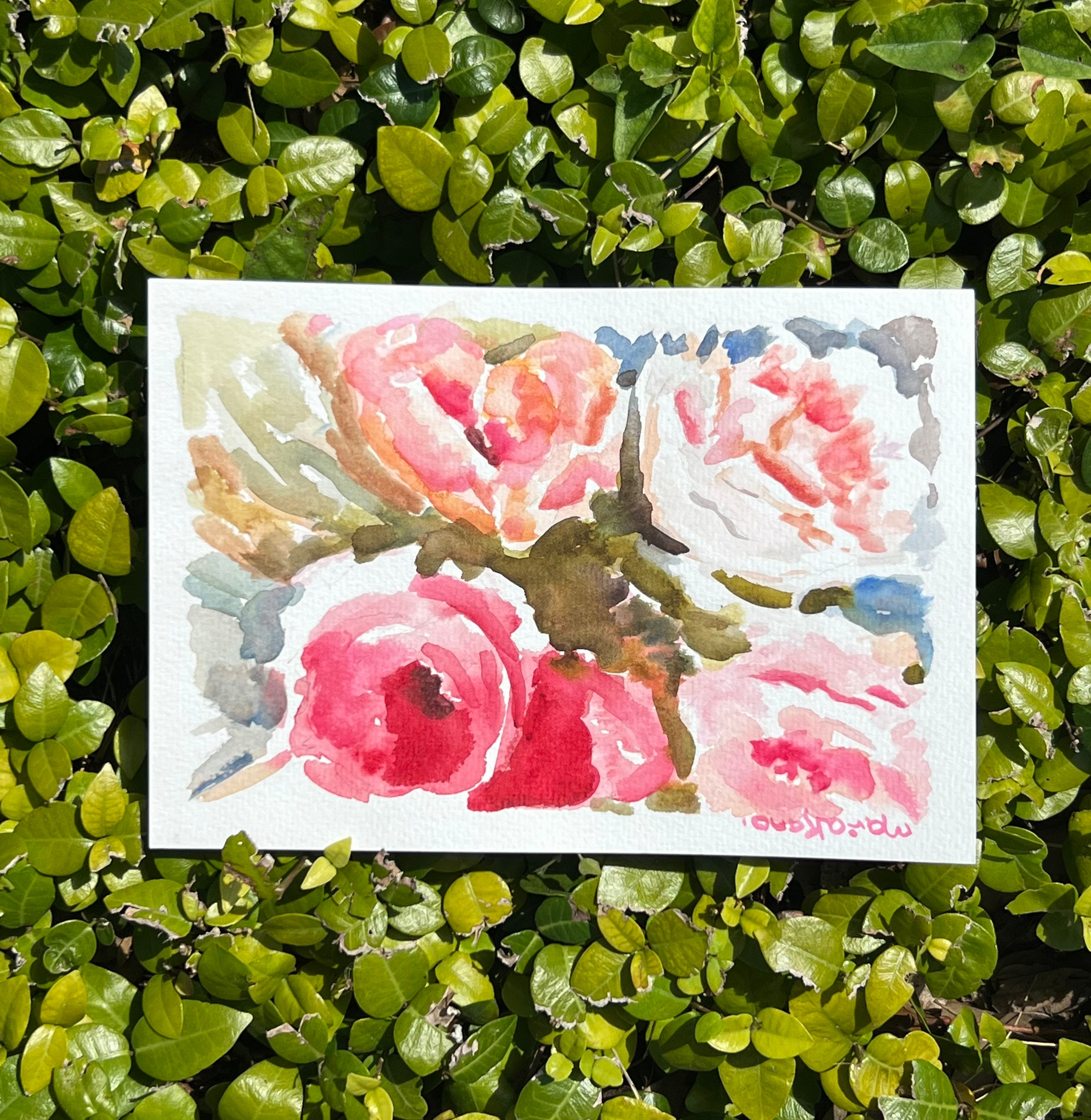 Water Color Illustrations — Flowers - Etsy