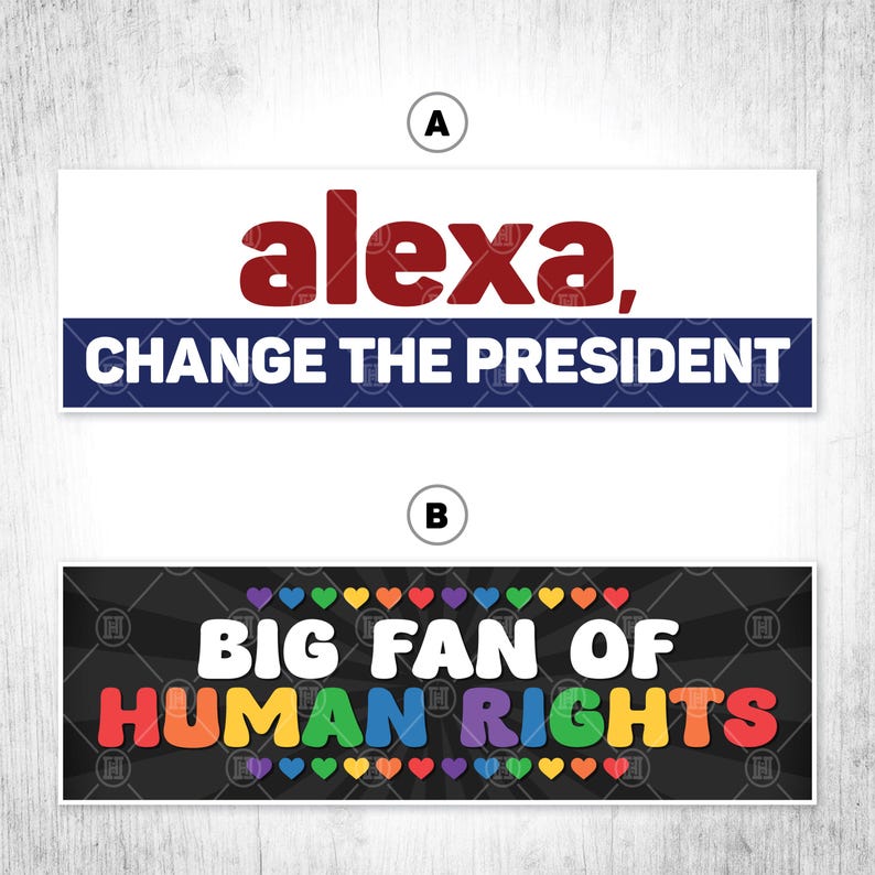 Human Rights No Kings Resist Anti-trump Bumper STICKER Car MAGNET ...