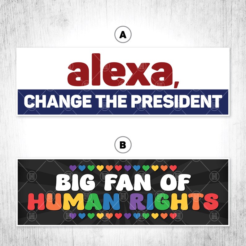 Basic Decency No Kings Anti-trump Bumper STICKER Car MAGNET Choose Any ...