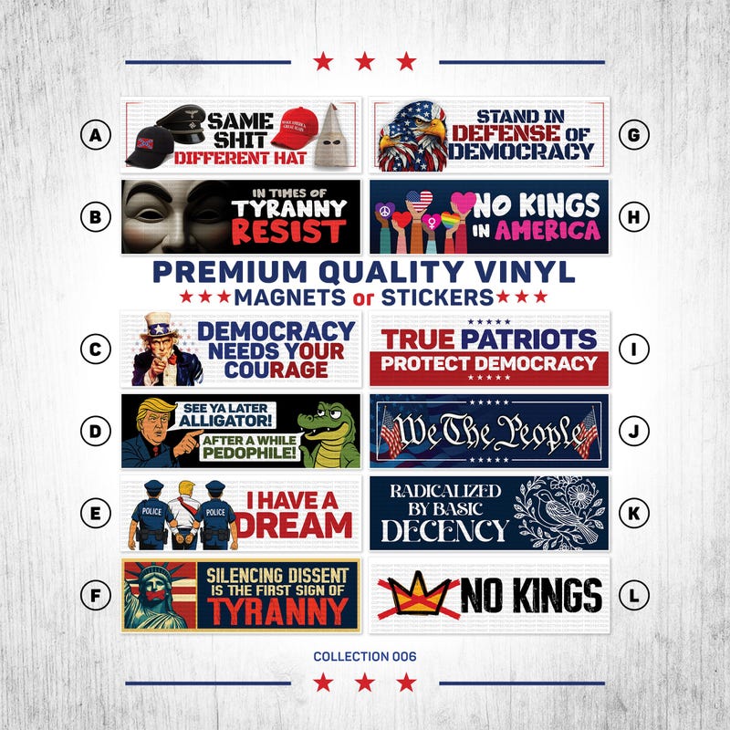 Democracy Cat Car Magnet - Etsy