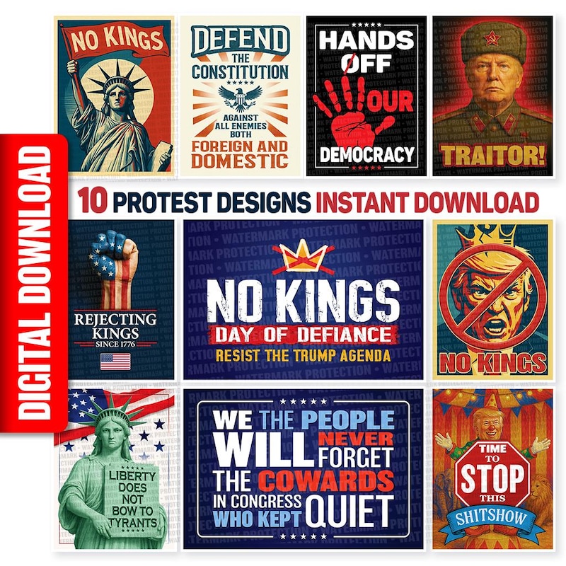 Sign Ideas for No Kings Protest - Etsy
