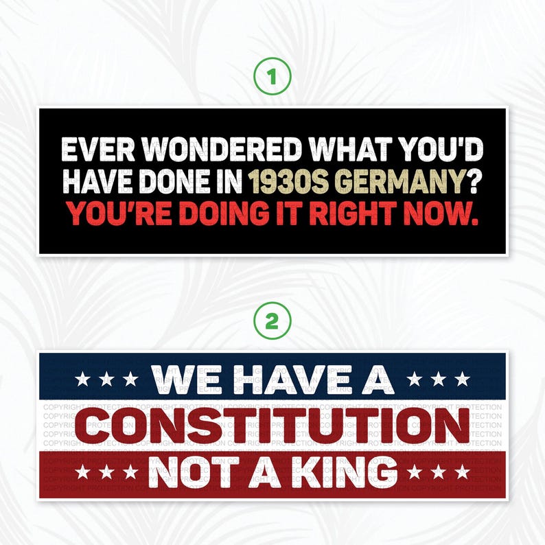 Anti-trump Bumper Sticker or Magnet, Progressive Resistance Designs - Etsy