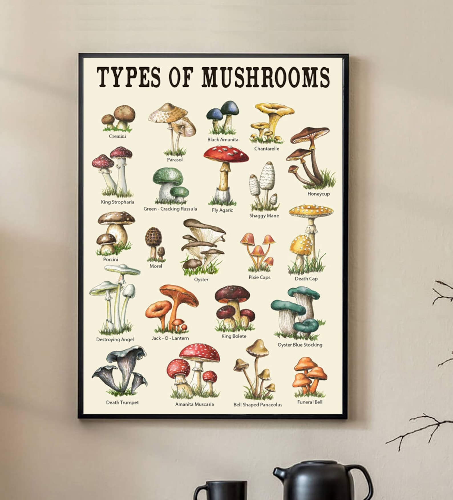 Mushroom Poster, Mushroom Chart Poster, Types of Mushrooms Poster ...
