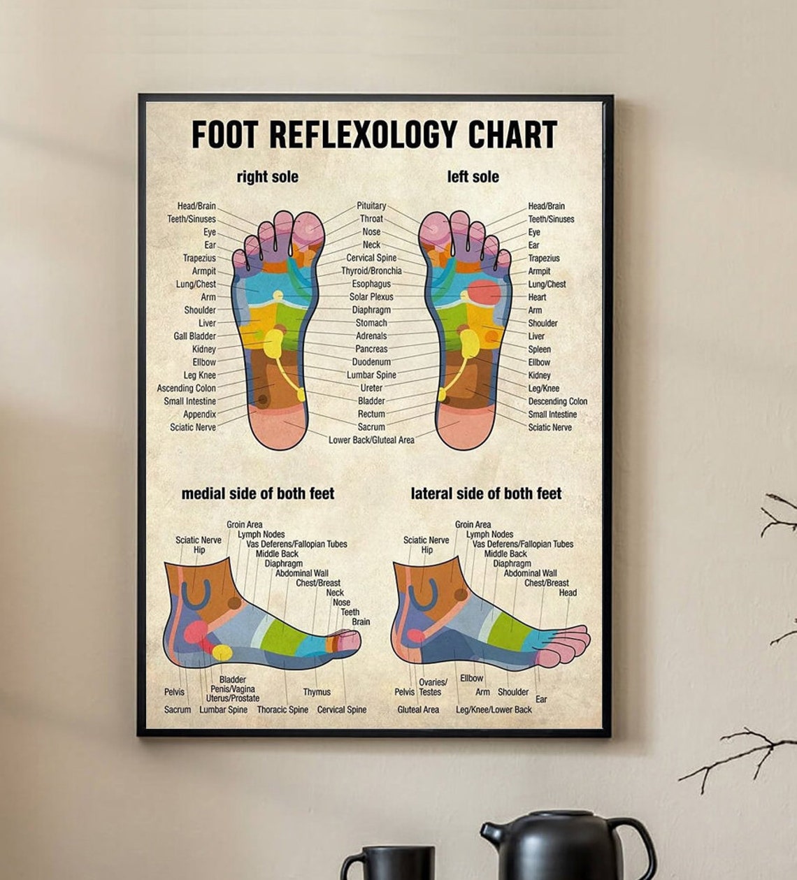 Massage Poster, Massage Therapist Foot Reflexology Chart Poster, Massage Chart Poster, Chart ...