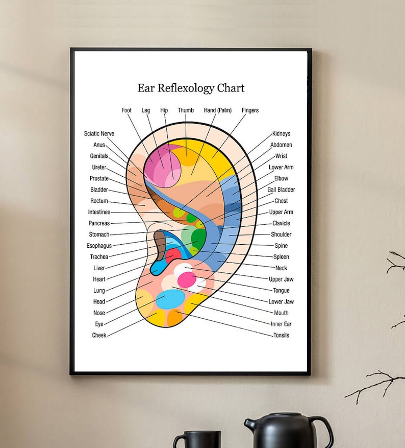 Ear Reflexology Chart Poster, Ear Chart Poster, Chart Poster - Etsy