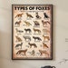 Breeds of Goat Poster, Goat Poster, Goat Vintage Poster, Vintage Poster ...