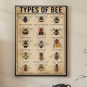 Types of Bee Poster, Bee Poster, Vintage Art, Wall Dercor - Etsy