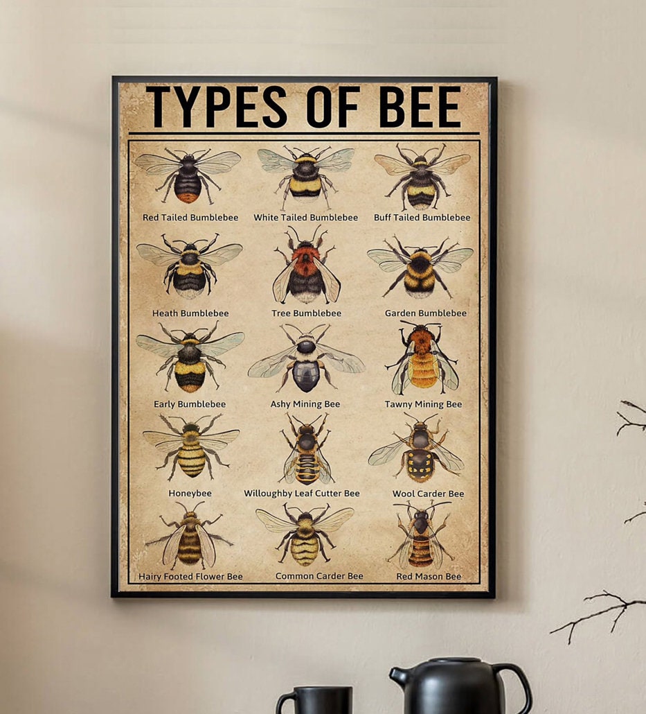 Types of Bee Poster, Bee Poster, Vintage Art, Wall Dercor - Etsy