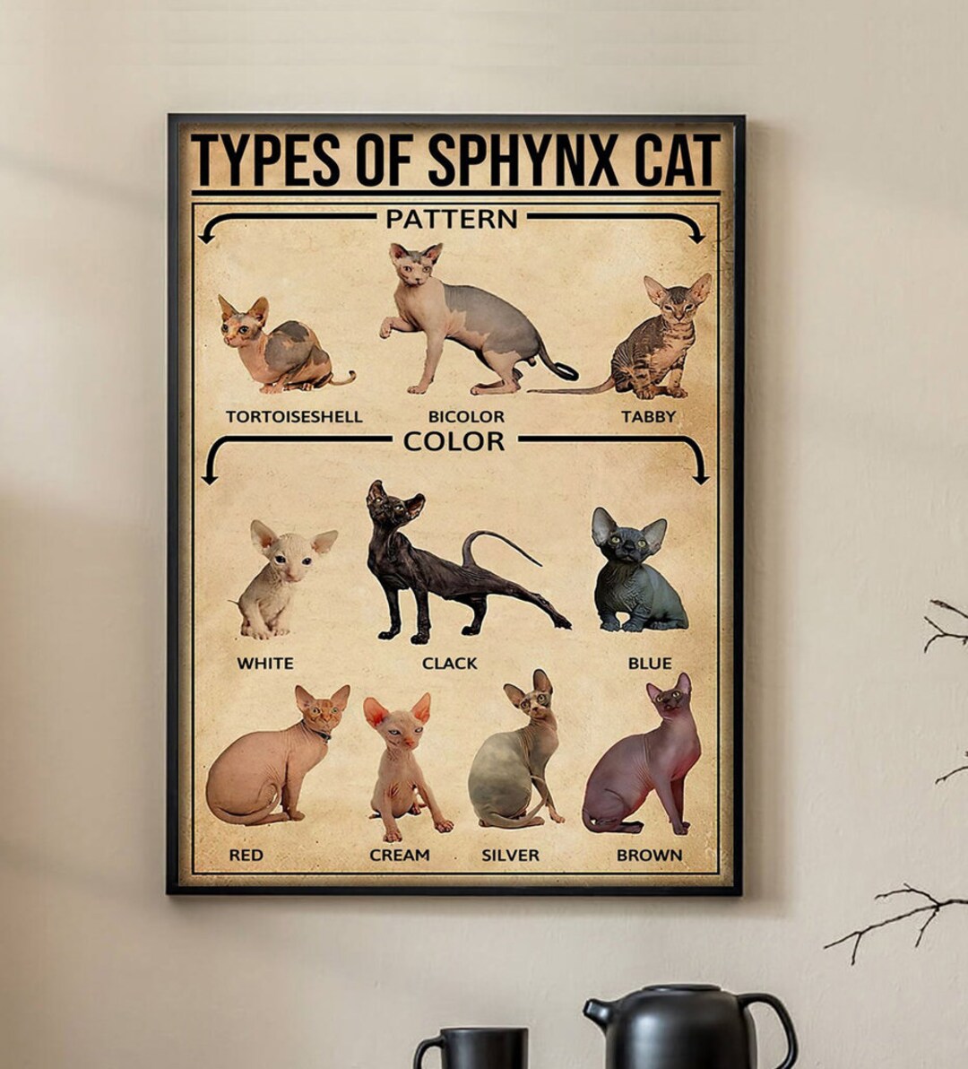 Types of Sphynx Cat Poster, Sphynx Cat Lovers Poster, Cat Lover Poster, Decor Wall Poster ...