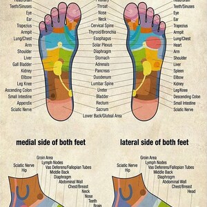 Massage Poster, Massage Therapist Foot Reflexology Chart Poster ...