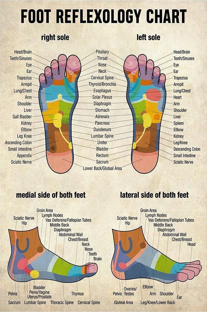 Massage Poster, Massage Therapist Foot Reflexology Chart Poster ...