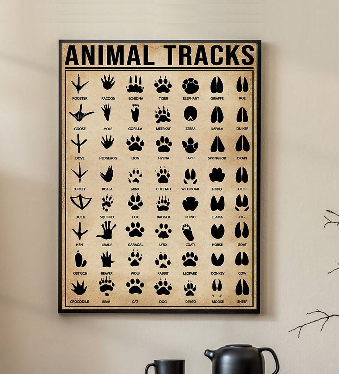 Animal Tracks Vintage Poster, Animal Poster, Vintage Poster, Wall Art ...