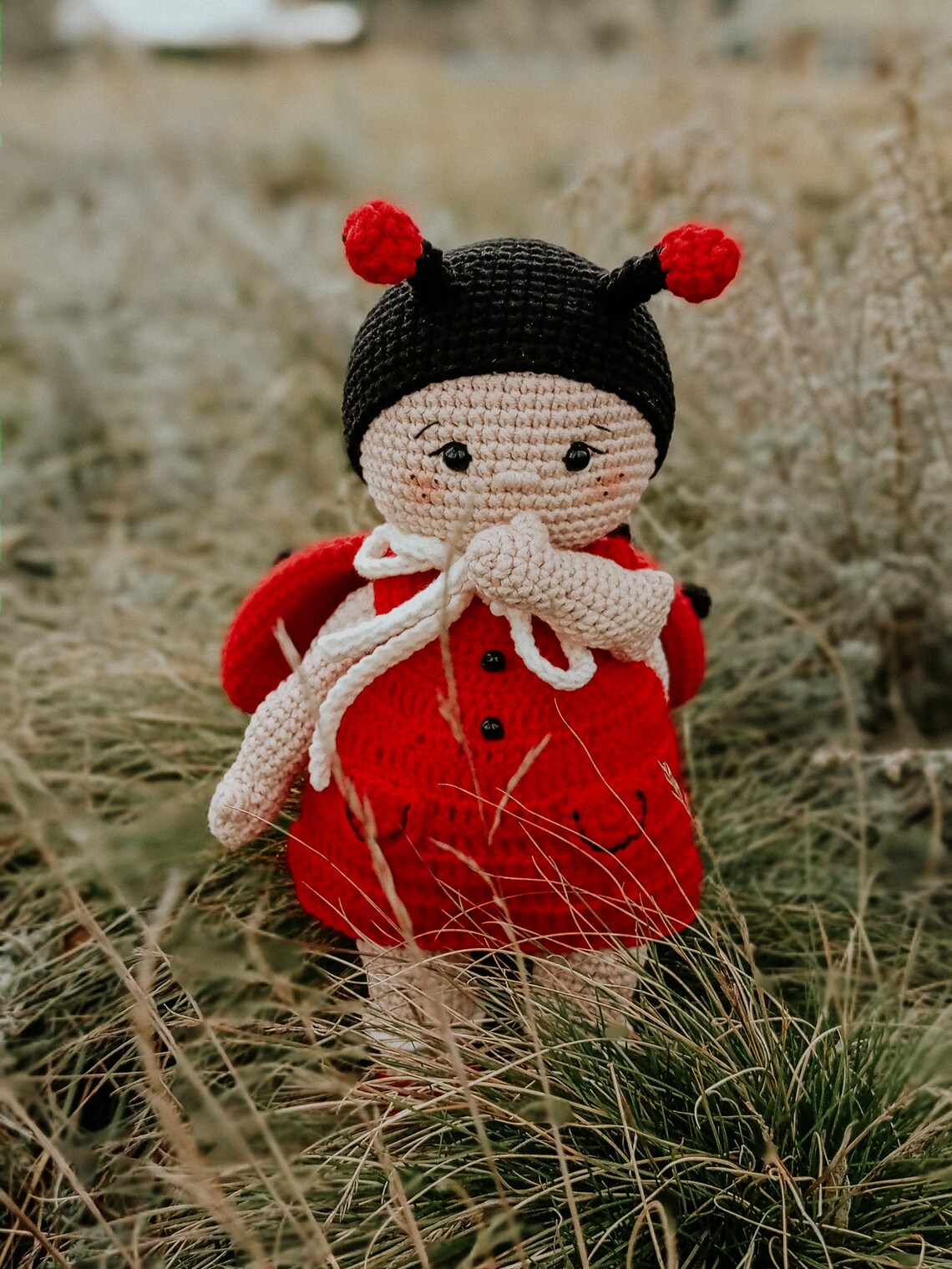 Ladybug Crochet Pattern. Ladybug Amigurumi Pattern. Crochet | Etsy