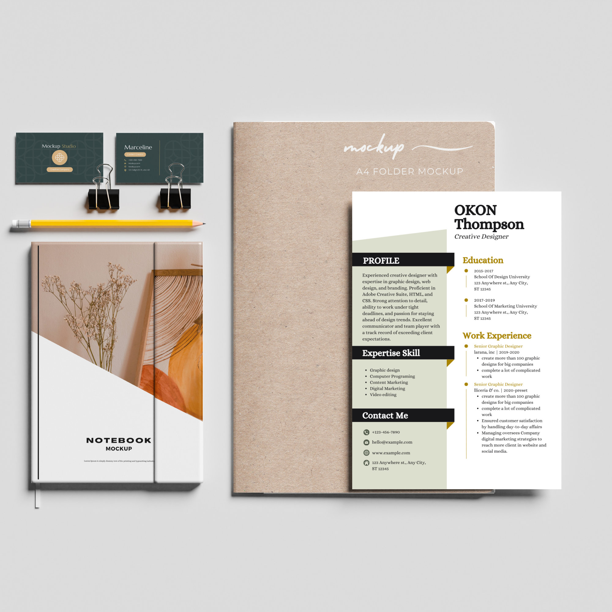 Professional Resume Template Simple Design for a Stand-out CV Sleek and ...