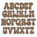 Cheetah Print Letters, Animal Print Alphabet Lettering, PNG Letters ...