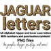 Jaguar Letters, Animal Print Alphabet Lettering, PNG Letters, Letters ...
