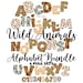 Tiger Print Lettering, Animal Print Alphabet Letters, PNG Letters ...
