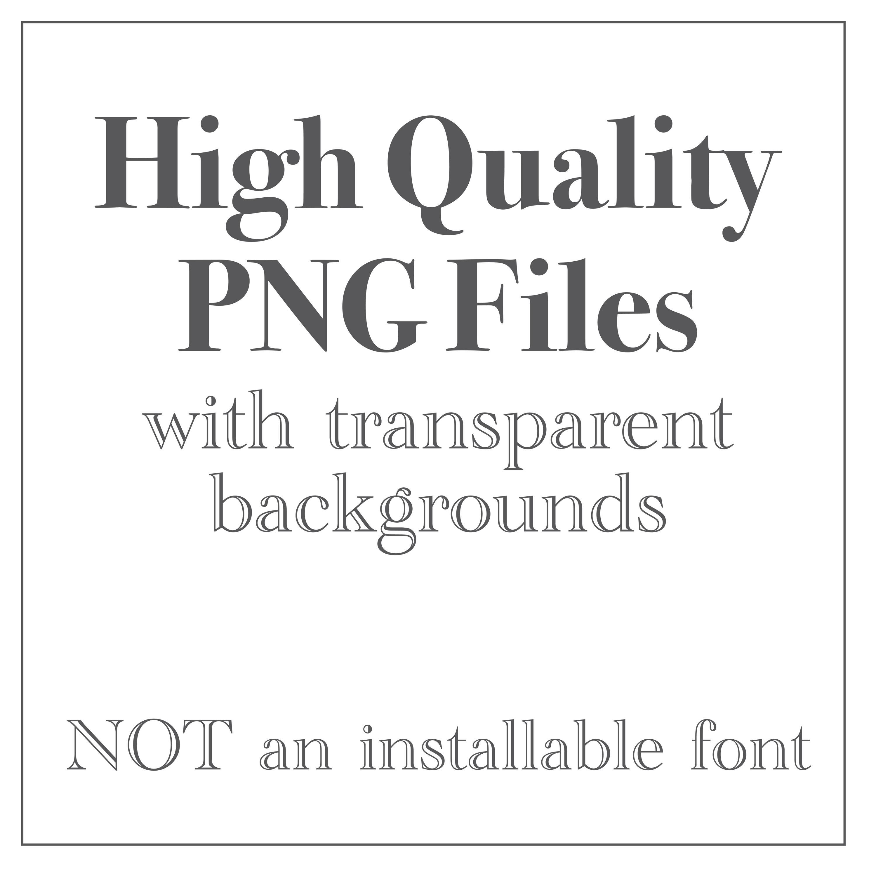 Cheetah Print Lettering, Animal Print Alphabet Letters, Retro Letters ...