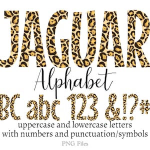 Animal Print Lettering Bundle, Wild Animals Letters Bundle, Sublimation ...