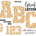 Giraffe Print Lettering, Animal Print Alphabet Letters, Giraffe Varsity ...