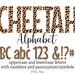 Animal Print Lettering Bundle, Wild Animals Letters Bundle, Sublimation ...